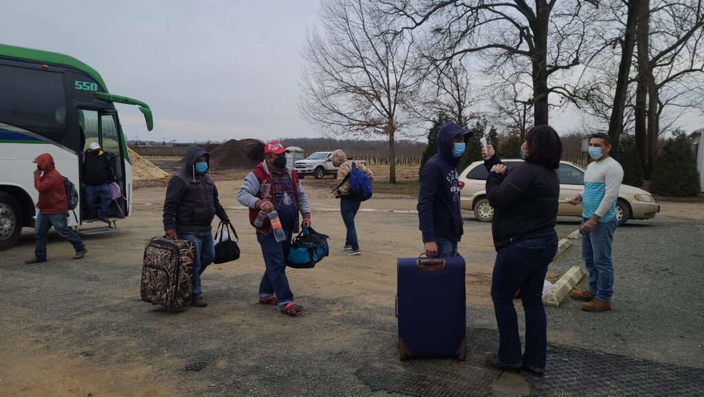 Our Field Crew is Back & Ready to Get Digging! - Angelica Nurseries, Inc.